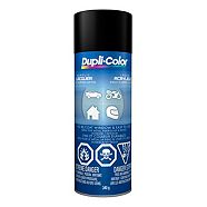 Dupli-Color Clear Coat Matte Enamel Canadian Tire