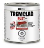 Tremclad Paints | Canadian Tire