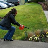 Performance Tool Shop Blower Canadian Tire