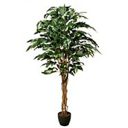 Artificial Cone Boxwood Tree in Pot, 4-ft | Canadian Tire