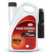 Chemfree Insectigone Ant Killer, 200-g Canadian Tire