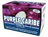 McKenzie Purple Caribe Seed Potato Canadian Tire