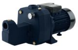 Mastercraft Convertible Jet Pump, 3/4 HP | Canadian Tire