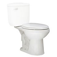 Danze Aurora 4 and 6 L Dual Flush Toilet Tank Canadian Tire