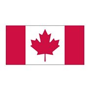 Mini Canada Flag Canadian Tire