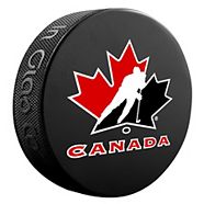 Heavy Practice Hockey Puck, 10-oz Canadian Tire