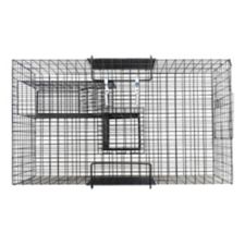 Multi-Rat Trap Canadian Tire