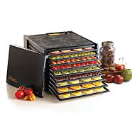 Hamilton Beach Digital Food Dehydrator w/ Adjustable Thermostat, Grey ...