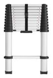World Greatest Type 2 Aluminum Telescopic Ladder, 14-ft Canadian Tire