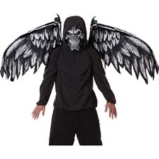 Fallen Angel Mask & Wings Party City