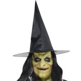 Adult Green Witch Mask Party City