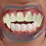 Upper Vampire Halloween Costume Accessory Fangs Party City